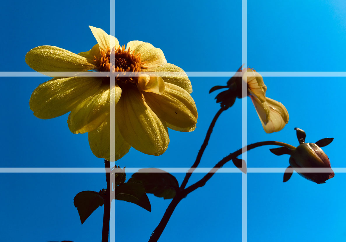 How to take Good Photos in 5 easy steps • Silent Peak Photo
