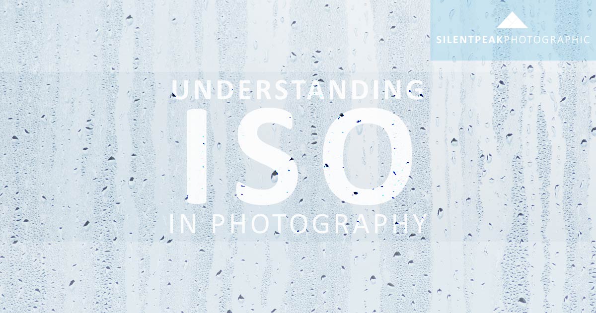 What is Camera ISO in Photography? • Silent Peak Photo
