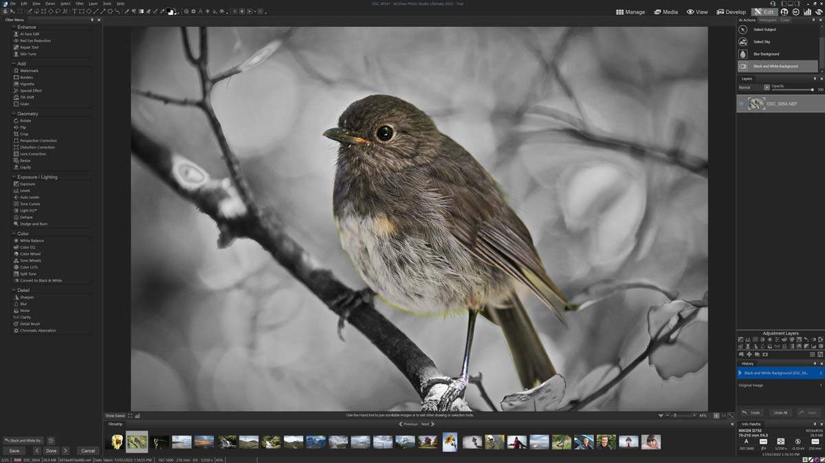 ACDSee Photo Studio Ultimate 2024 Review