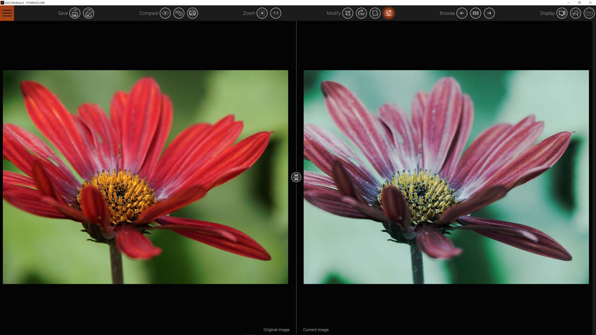 DxO FilmPack Review - FilmPack 6 Elite Tested and Compared