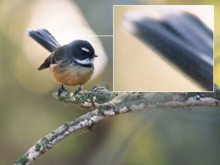 Noise in Photography Explained
