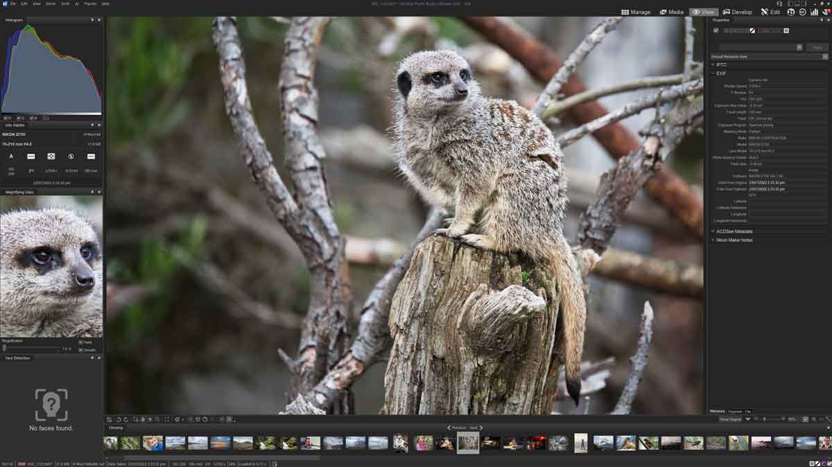 ACDSee Ultimate 2025 Review - Now with AI Upscaling