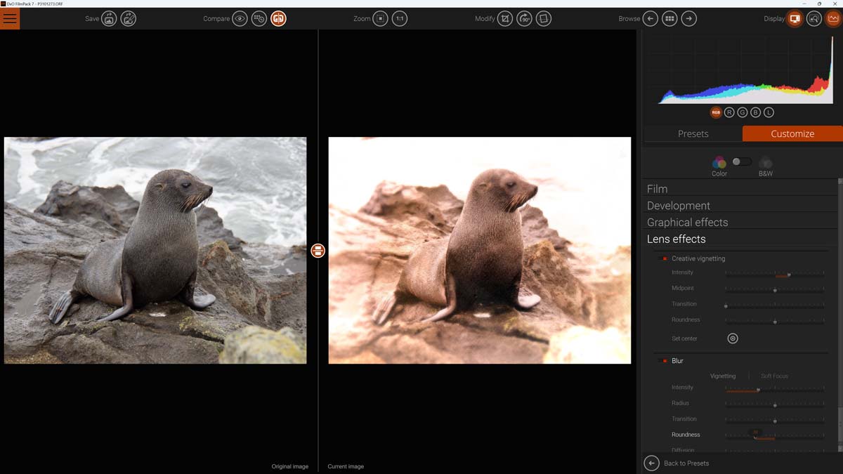 DxO FilmPack 7 Review - Glorious Imperfection