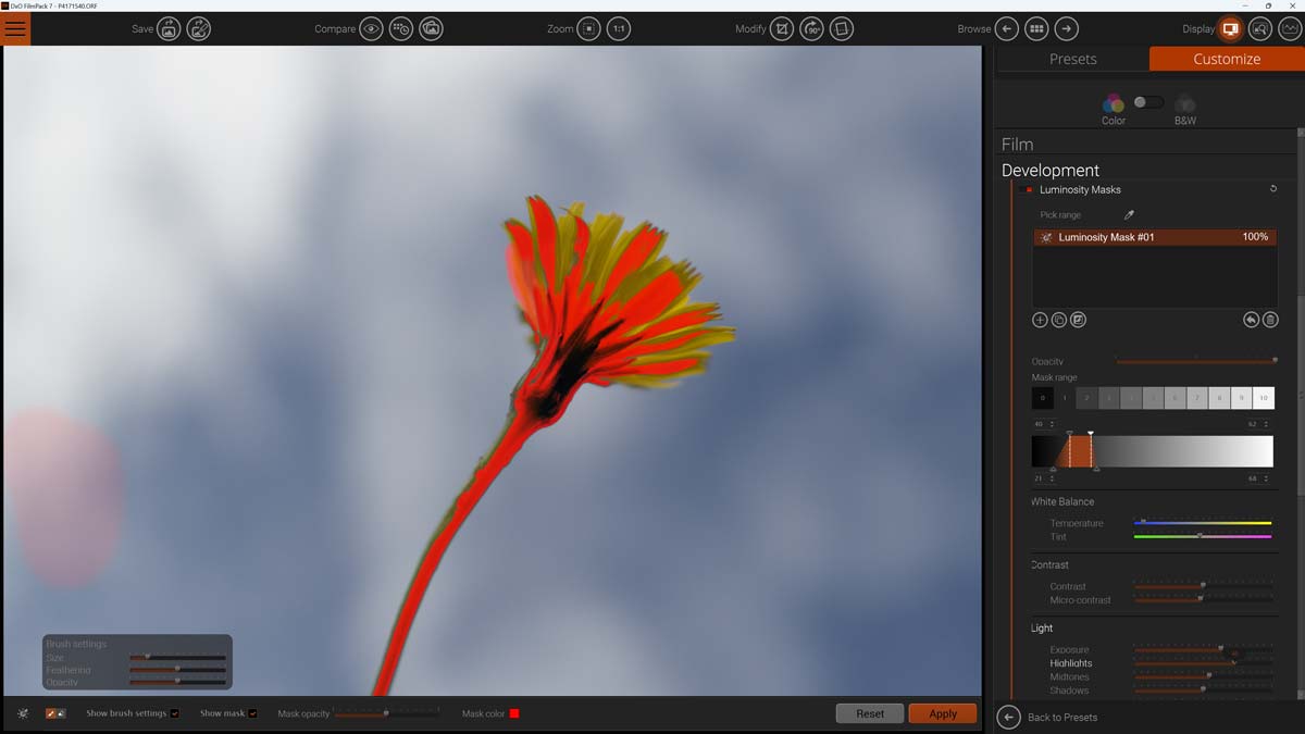 DxO FilmPack 7 Review - Glorious Imperfection