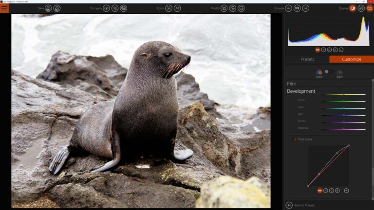 DxO FilmPack 7 Review - Glorious Imperfection