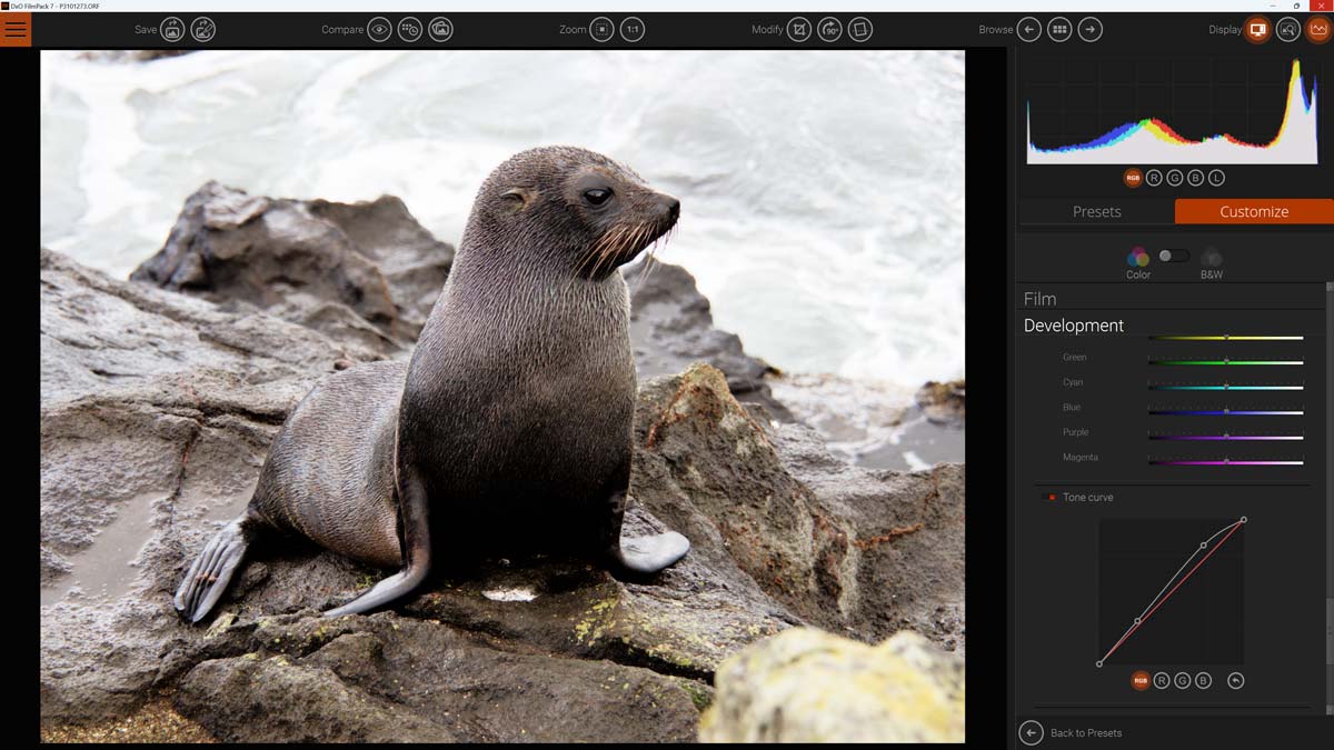 DxO FilmPack 7 Review - Glorious Imperfection