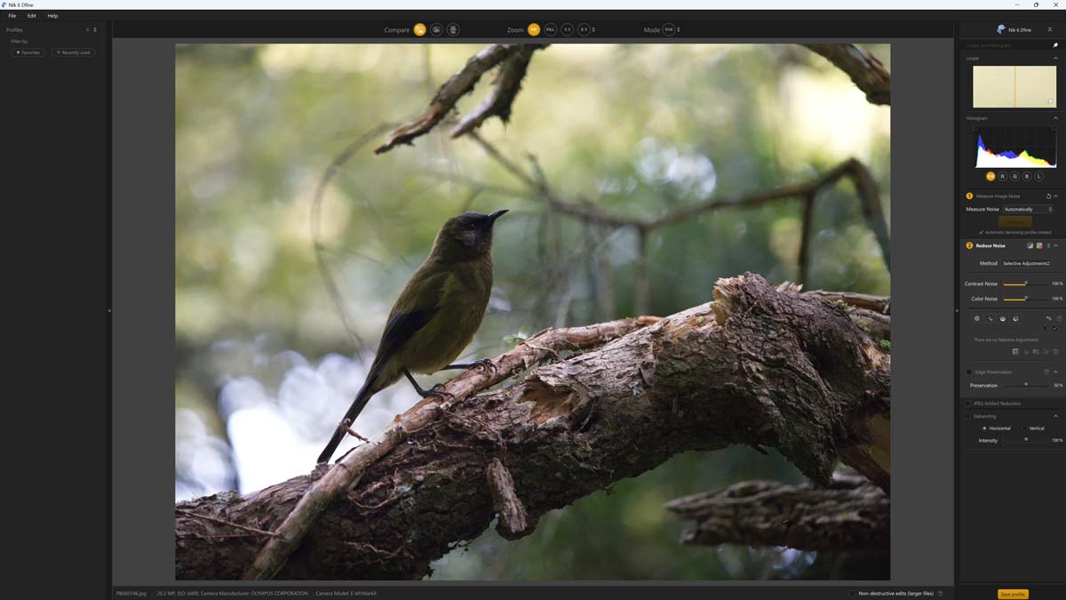 Nik Dfine Review • Silent Peak Photo