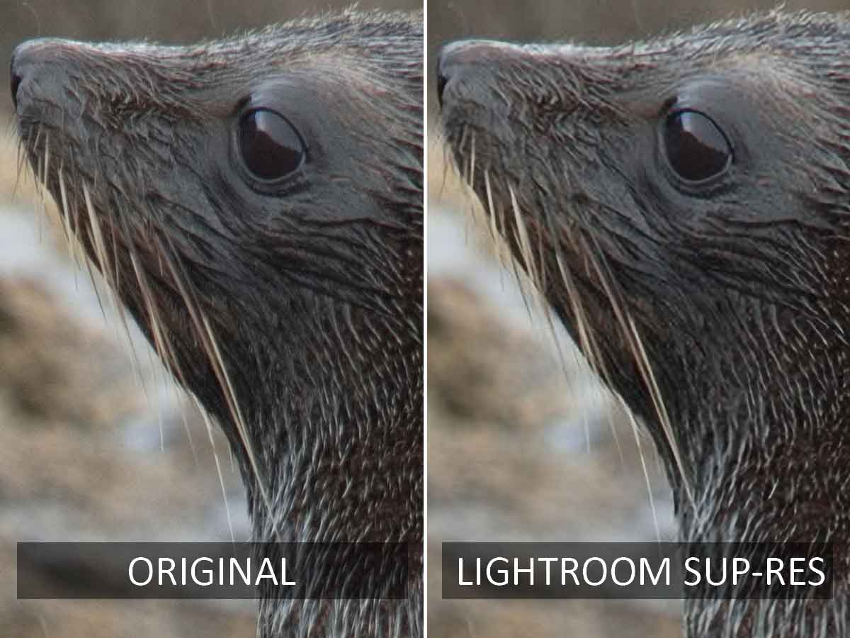 Best AI Upscaler for Photography 2025 - Tested and Compared