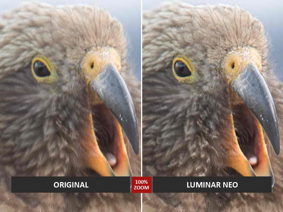 Luminar Neo Review - Innovative and Uneven