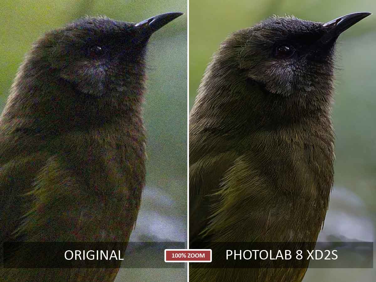 DxO Photolab 8 Review - Outstanding Image Quality