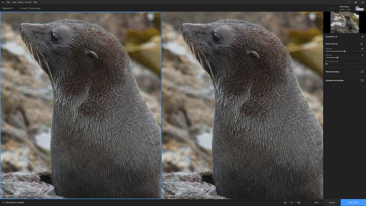 Gigapixel Review - Gigapixel 8 Pushes the Envelope