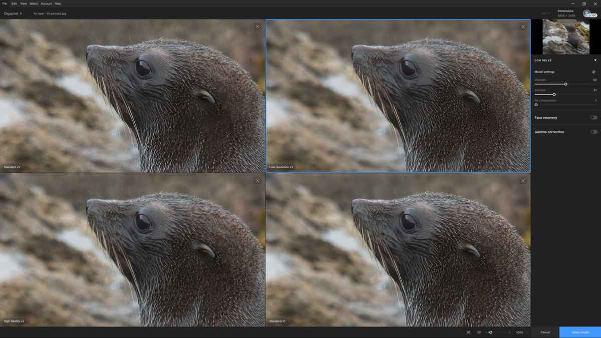 Gigapixel Review - Gigapixel 8 Pushes the Envelope