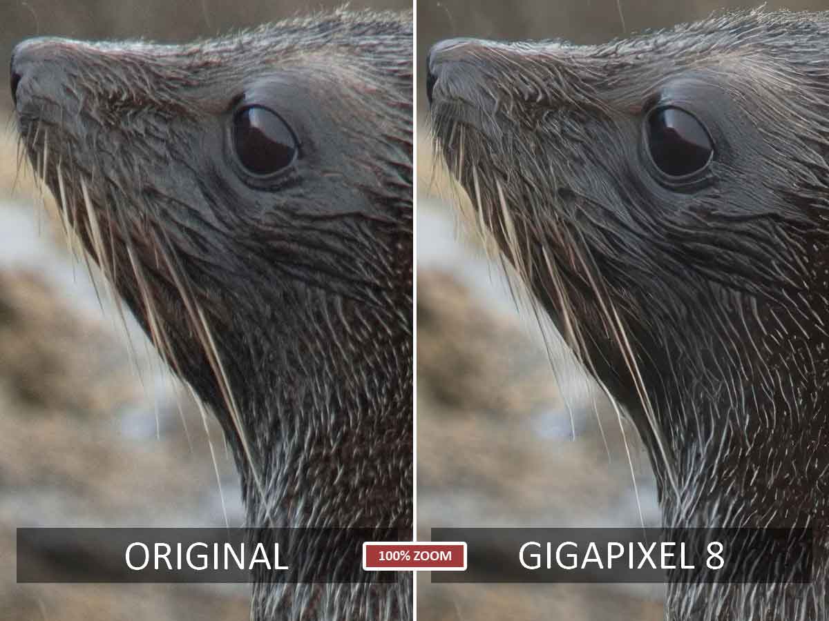 Gigapixel Review - Gigapixel 8 Pushes the Envelope