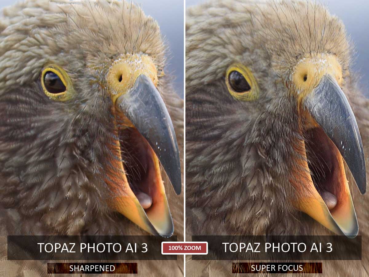 Topaz Photo AI Review - Now with Super Focus