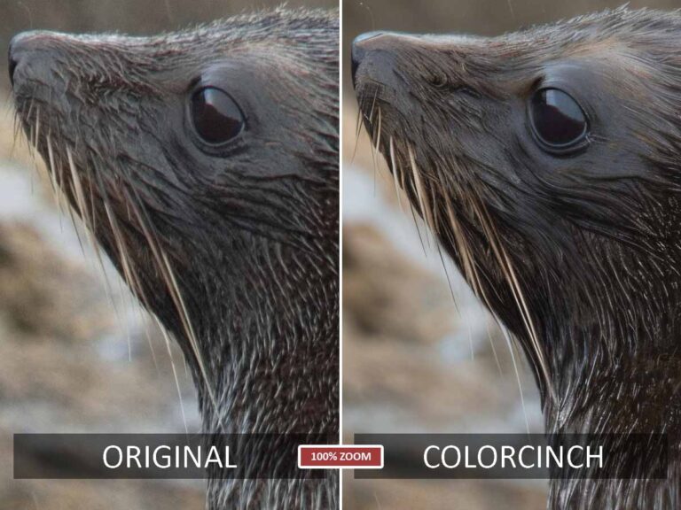 Colorcinch Review • Silent Peak Photo