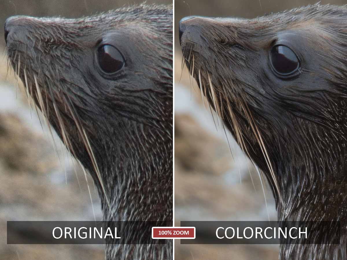 Colorcinch Review • Silent Peak Photo