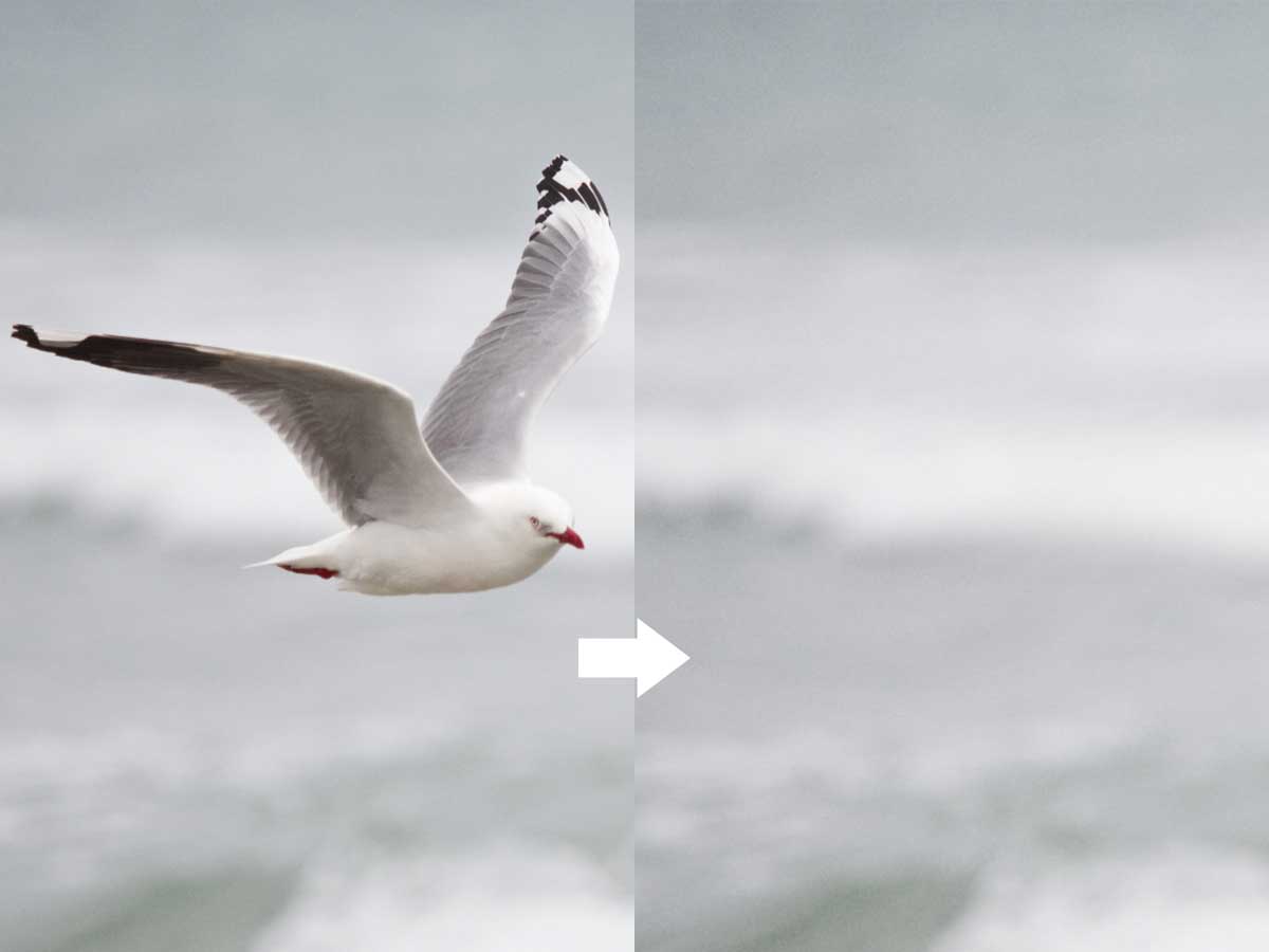 Colorcinch Review • Silent Peak Photo