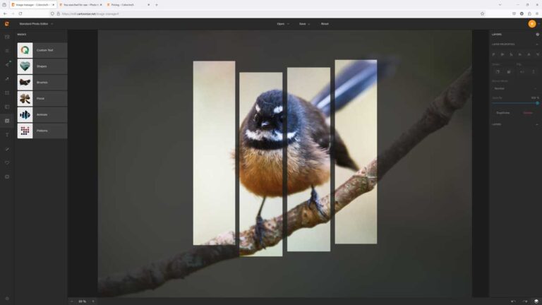 Colorcinch Review • Silent Peak Photo