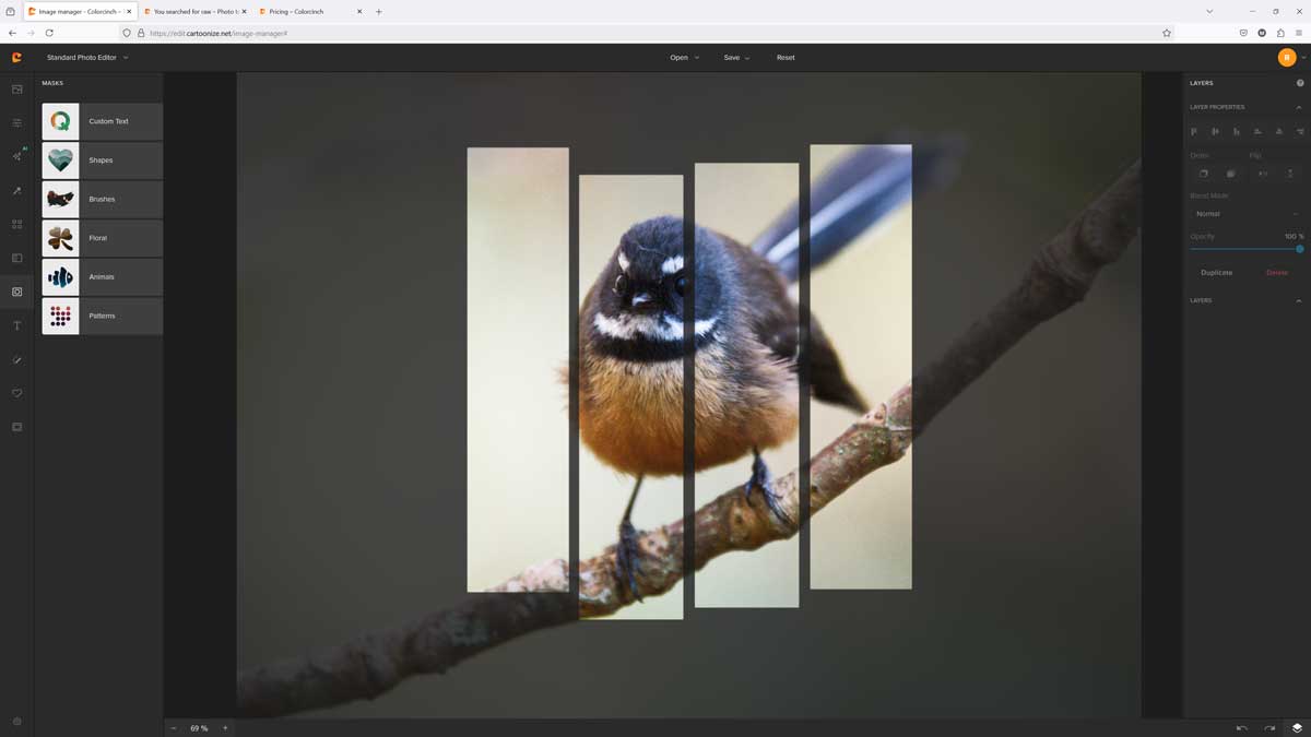 Colorcinch Review • Silent Peak Photo