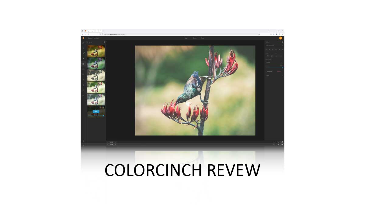 Colorcinch Review • Silent Peak Photo